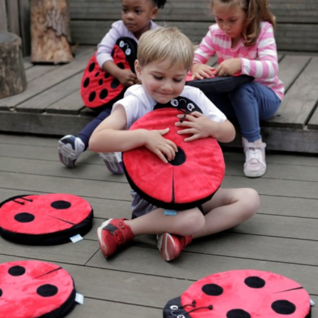 Back to Nature™ Ladybird Counting Story Cushions | Educational ...