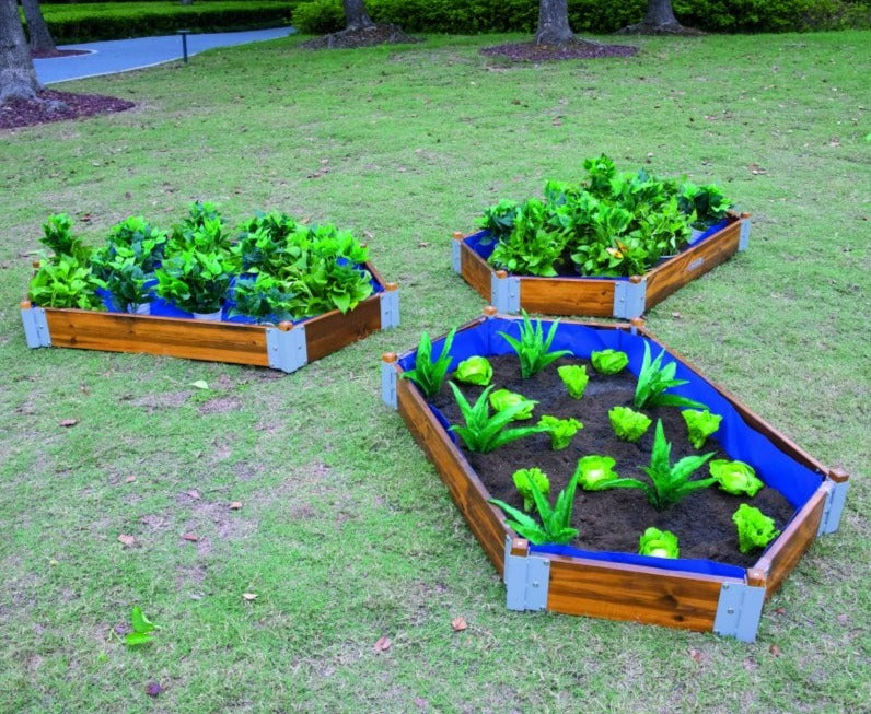 Little Garden Hexagonal Planting Set | Educational Equipment Supplies