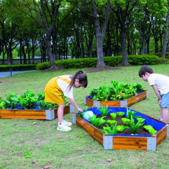 Little Garden Hexagonal Planting Set | Educational Equipment Supplies