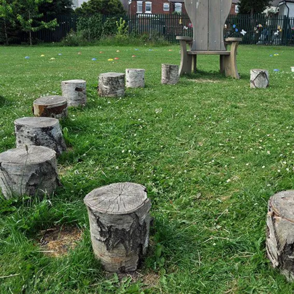 Natural Wooden Tree Stump Seats x 15 | Educational Equipment Supplies