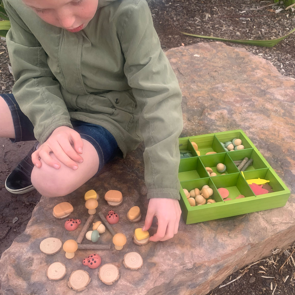 Nature’s Sorting Box | Educational Equipment Supplies