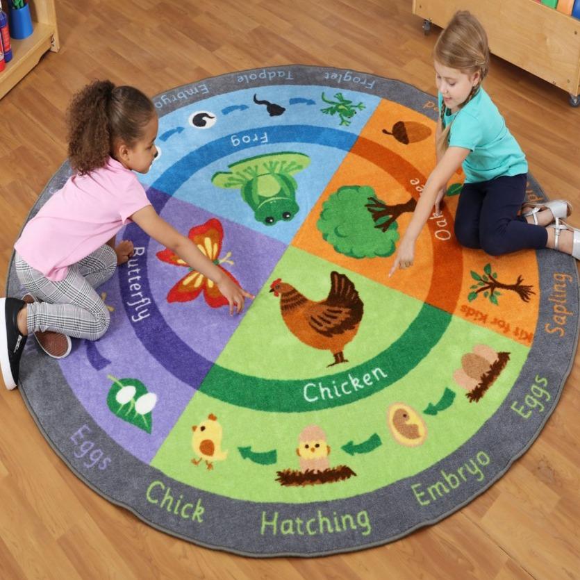 Life Cycle Carpet D2000mm | Educational Equipment Supplies